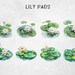 Watercolor Cute Baby Frog Clipart Frog on Lily Pad Pond Clipart Animal ...