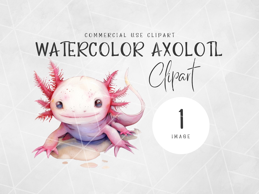 Cute Axolotl Clipart | Baby Axolotl | Cute Axolotl Png | Kawaii ...