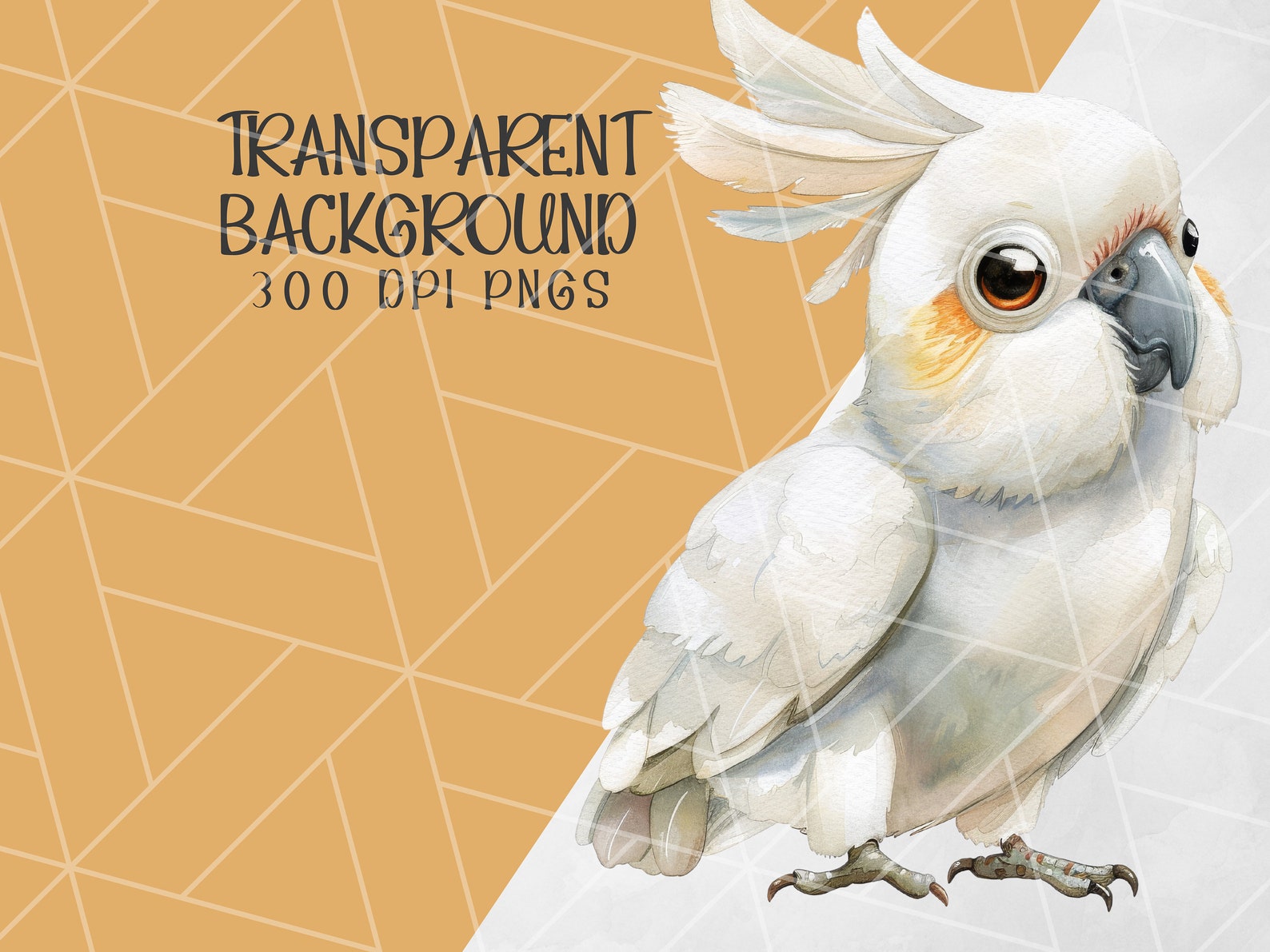 Baby Cockatoo PNG | Australian Animals Clipart | Watercolor Clipart ...