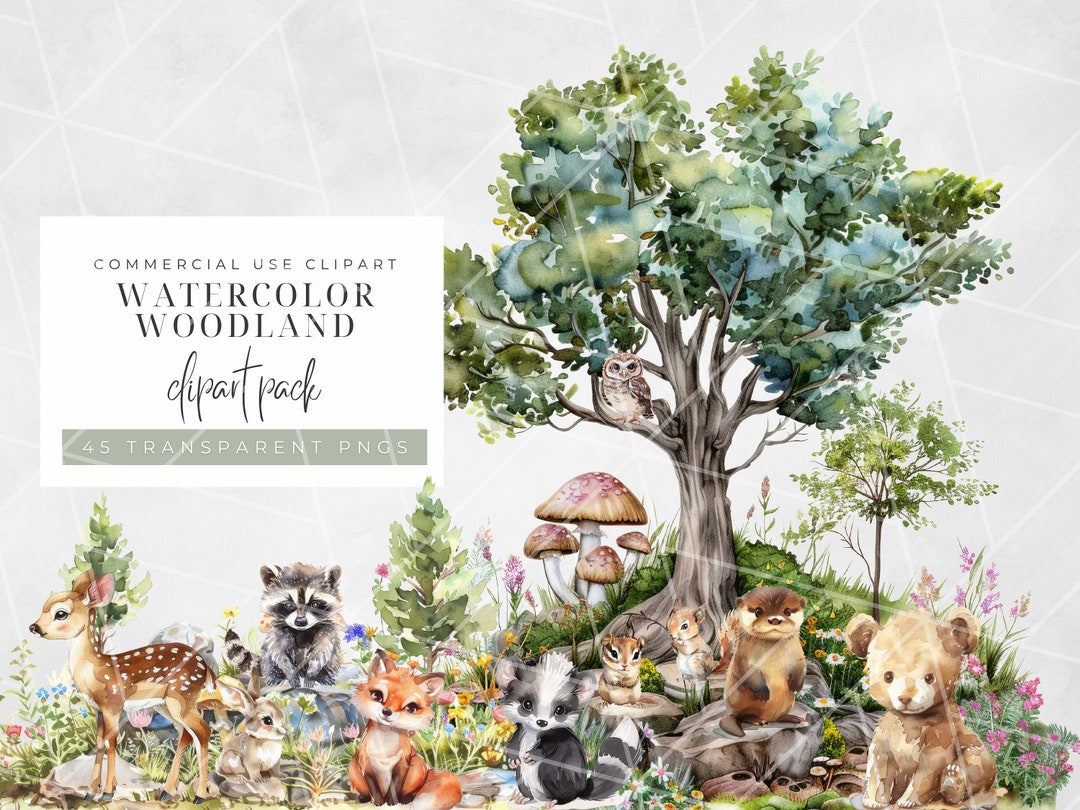Woodland Animals Watercolor Clipart | Forest Animals Clip Art | Baby ...