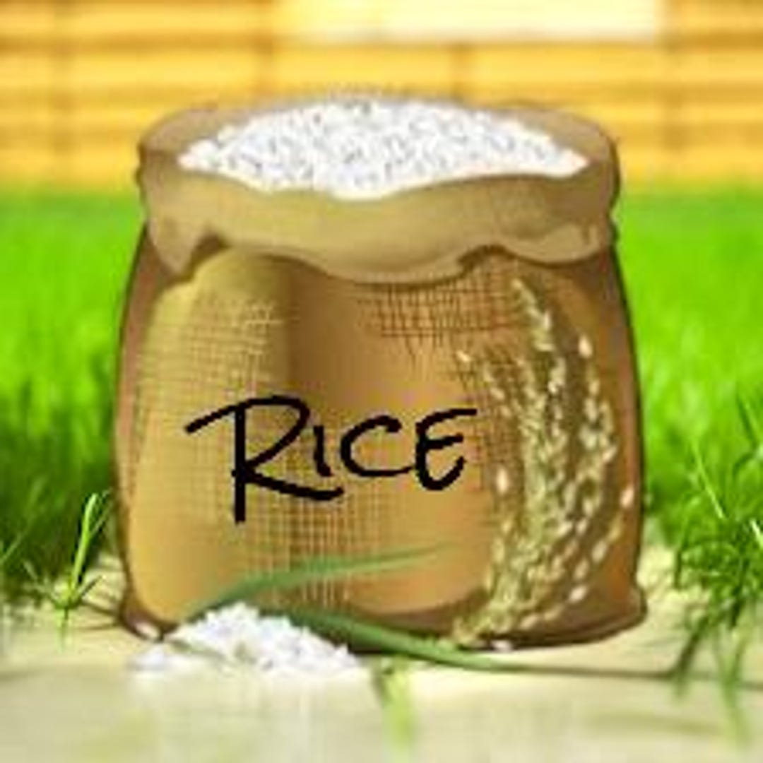 Hot and Cold Neck Rice Bag Rice Bag Insert and Removeable Cover ...