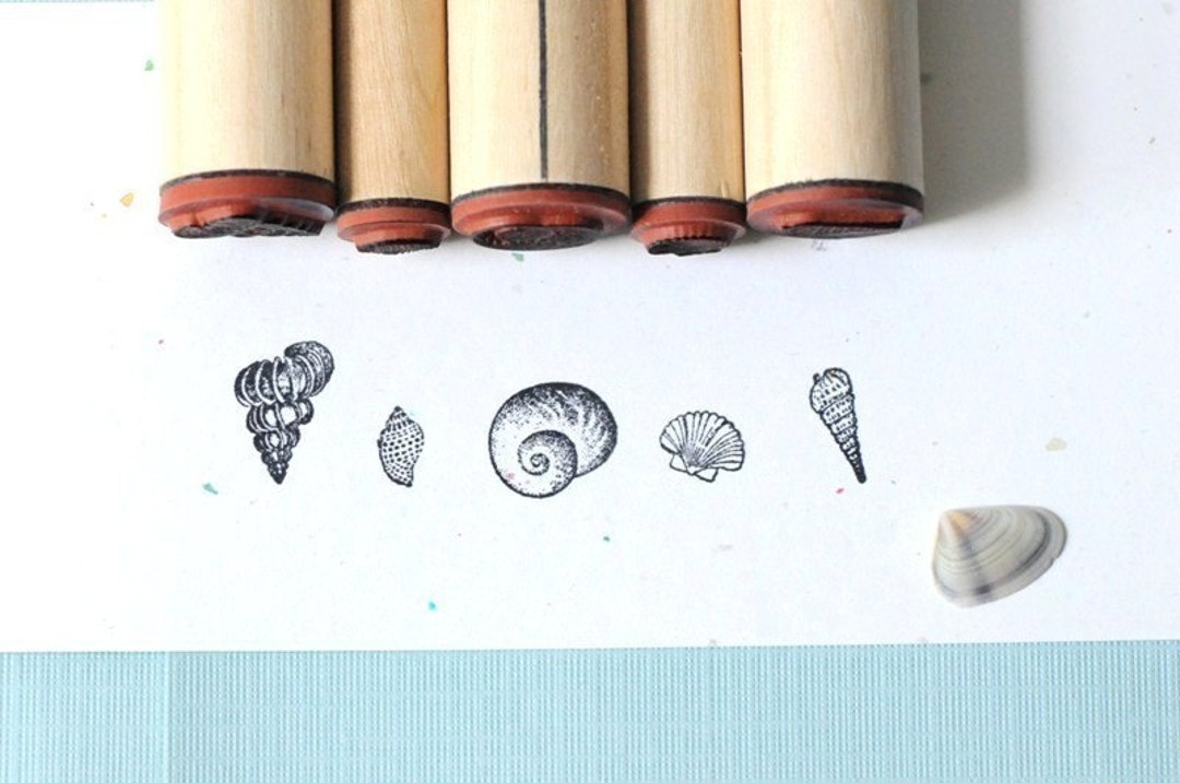 Shell Sampler Rubber Stamp Set - Etsy