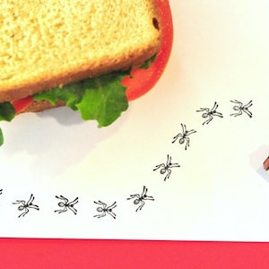 Ant Rubber Stamp - Etsy