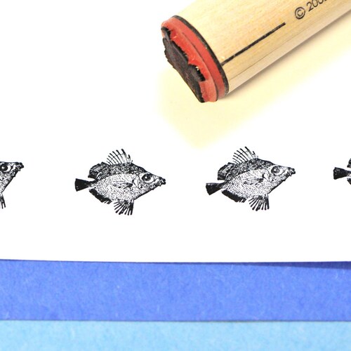 Rainbow Trout Game Fish Rubber Stamp - Etsy