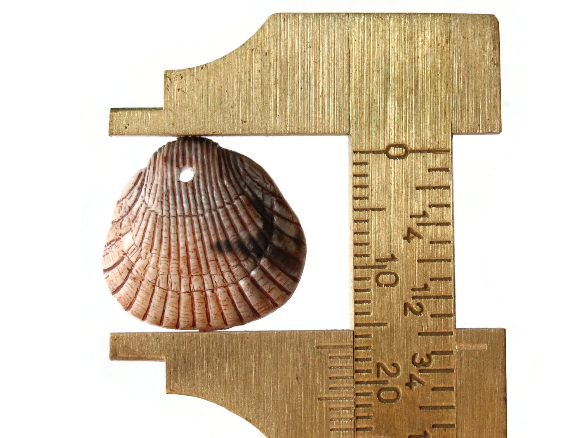 12 18mm Brown Plastic Shell Beads Oyster Shell Beads Jewelry | Etsy