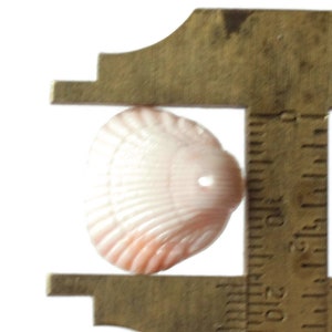 12 18mm Cream and Pink Plastic Shell Beads Oyster Shell Beads Jewelry ...