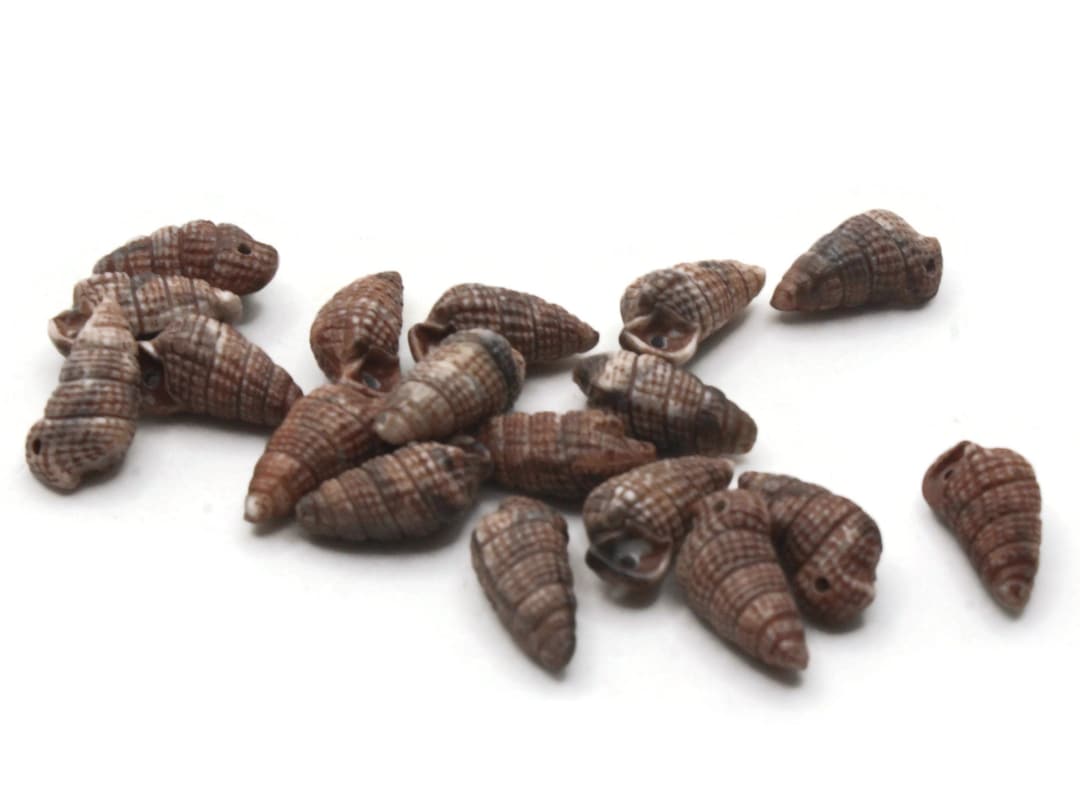 18 17mm Brown Plastic Spiral Shell Beads Jewelry Making Beading ...
