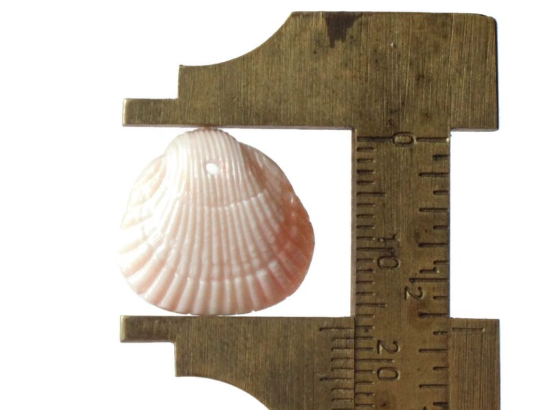 12 18mm Cream and Pink Plastic Shell Beads Oyster Shell Beads | Etsy