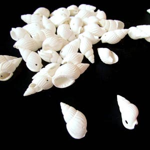40 White Shell Beads 17mm to 27mm Spiral Seashell Beads Natural Beads ...