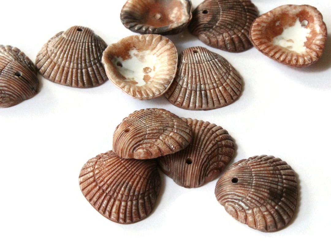 12 18mm Brown Plastic Shell Beads Oyster Shell Beads Jewelry Making ...