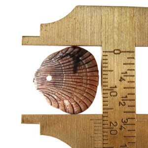 12 18mm Brown Plastic Shell Beads Oyster Shell Beads Jewelry Making ...