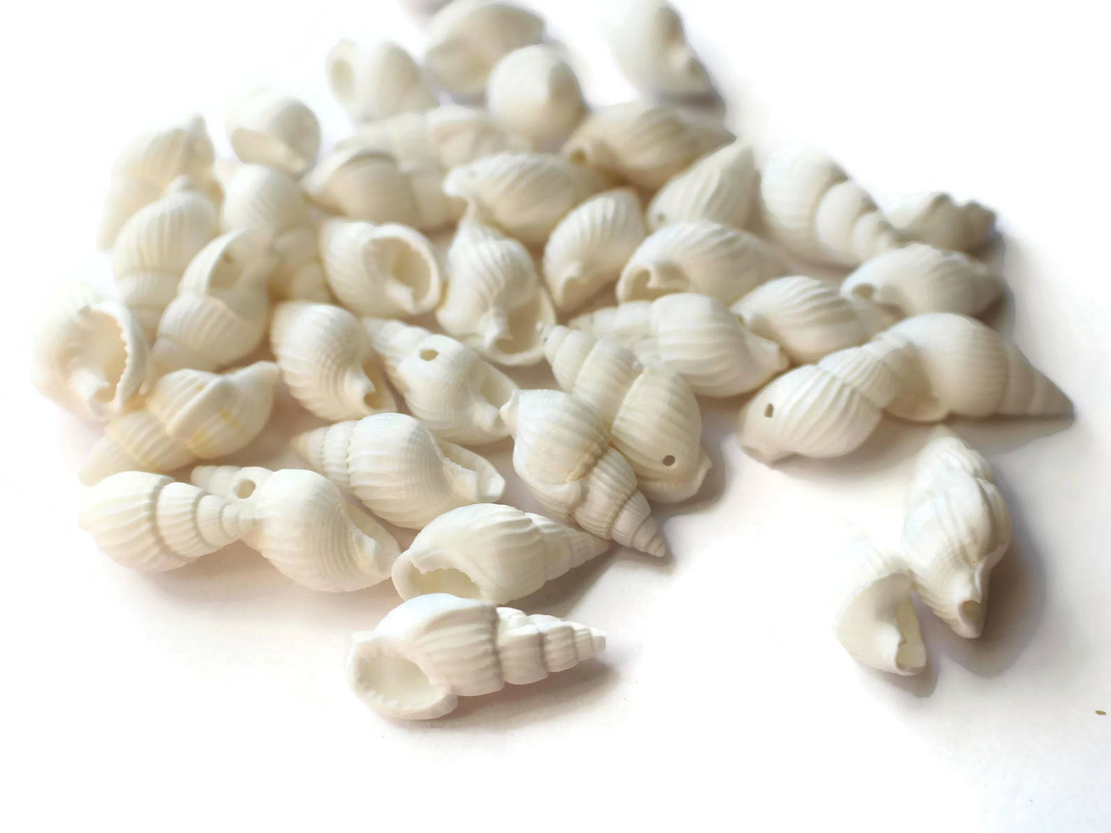 40 White Shell Beads 17mm to 27mm Spiral Seashell Beads Natural Beads ...