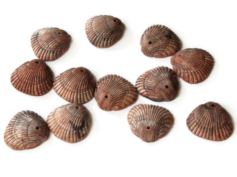 12 18mm Brown Plastic Shell Beads Oyster Shell Beads Jewelry | Etsy