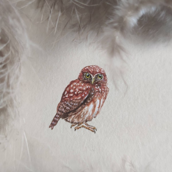 Pygmy Owl - Etsy