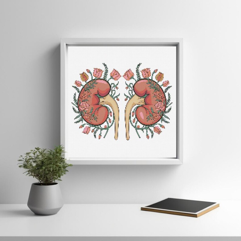 Kidney Cross Stitch Pattern | Floral Kidney Embroidery PDF | Medical ...