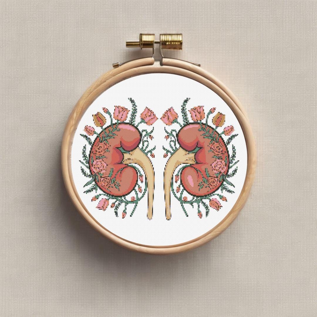 Kidney Cross Stitch Pattern | Floral Kidney Embroidery PDF | Medical ...