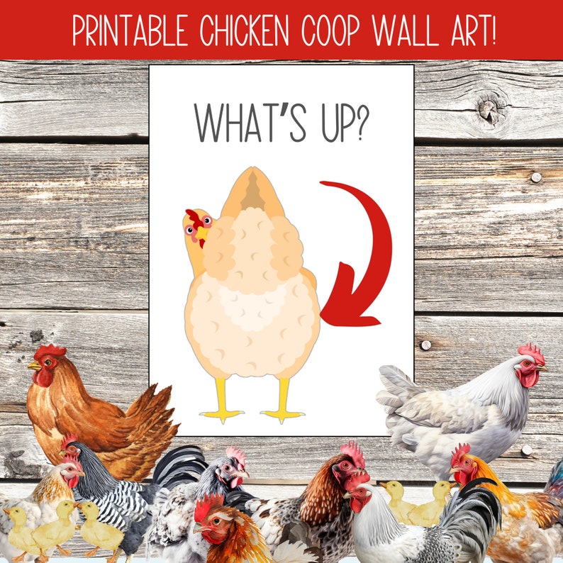 Funny Chicken Coop Sign, Printable Chicken Wall Art, Gift for Poultry ...