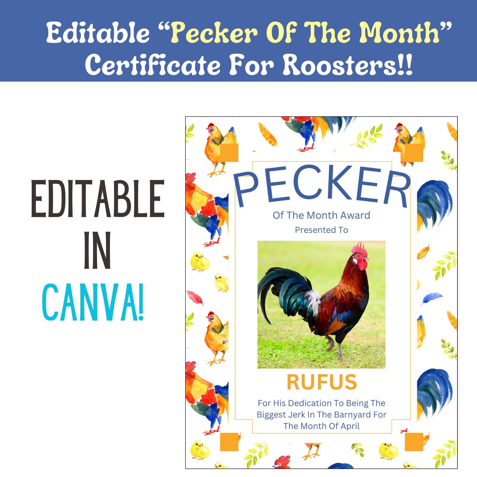 Funny Rooster Award, Editable Certificate for Grumpy Flock, Printable ...