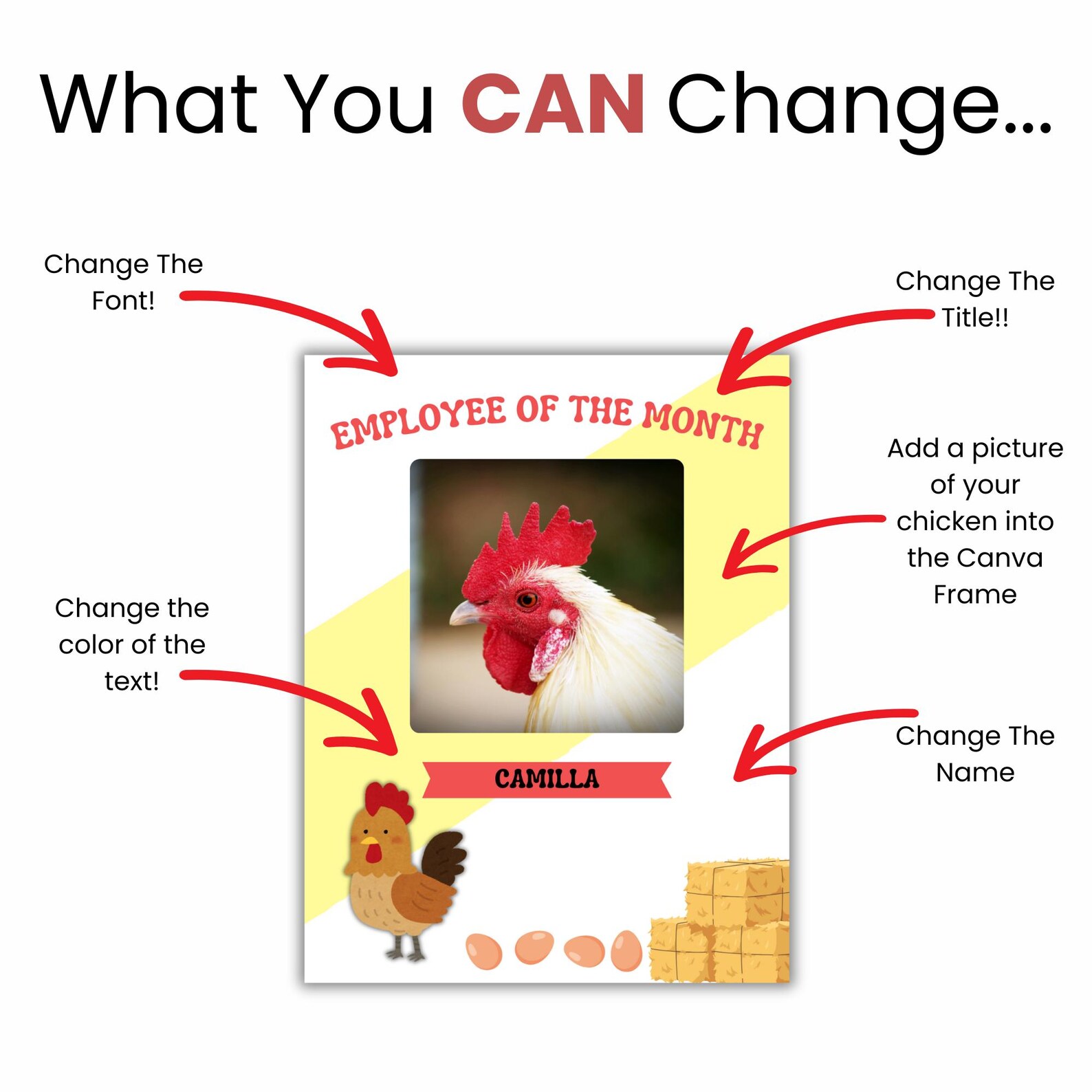 Editable Employee of the Month Certificate for Chickens, Canva Template ...