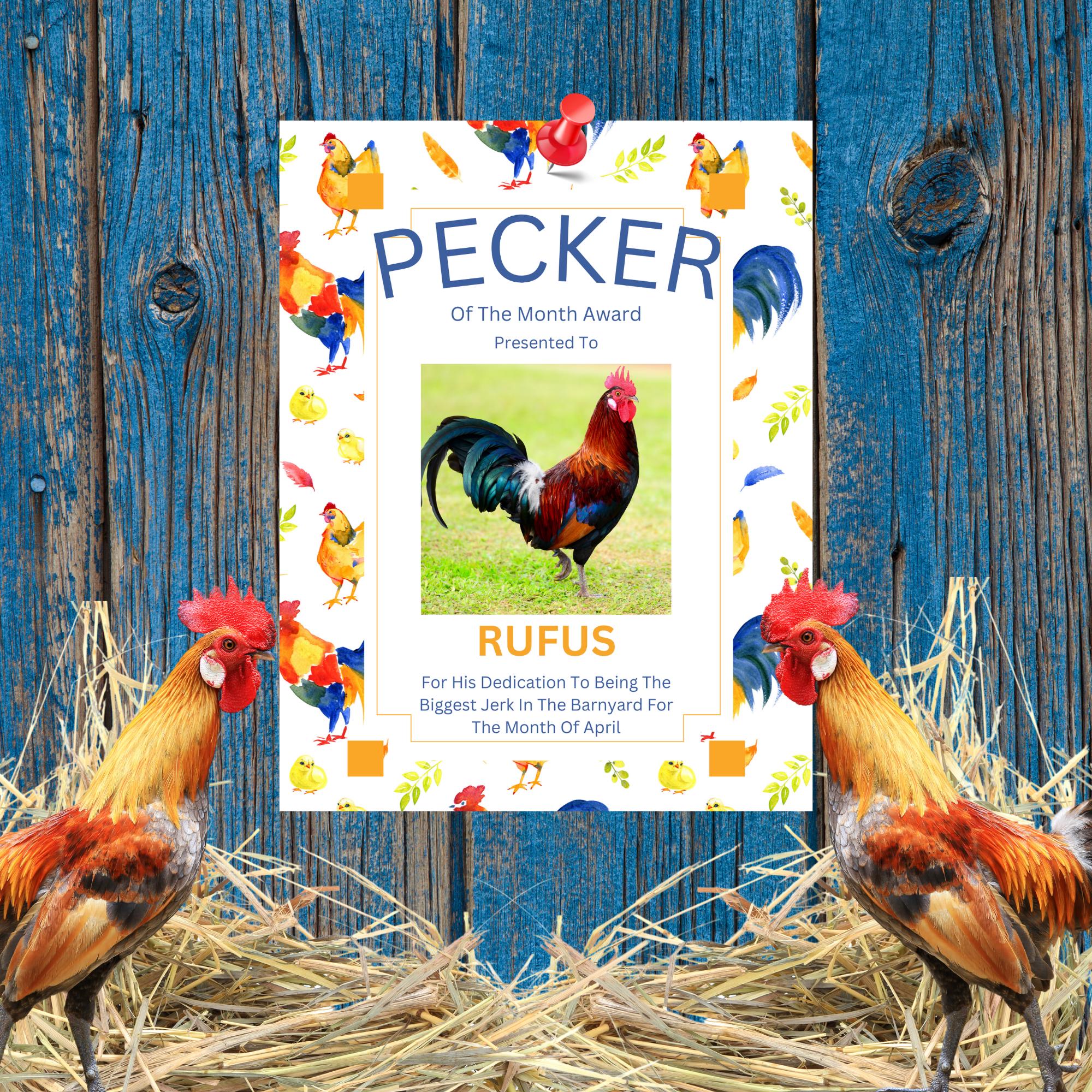 Funny Rooster Award, Editable Certificate for Grumpy Flock, Printable ...