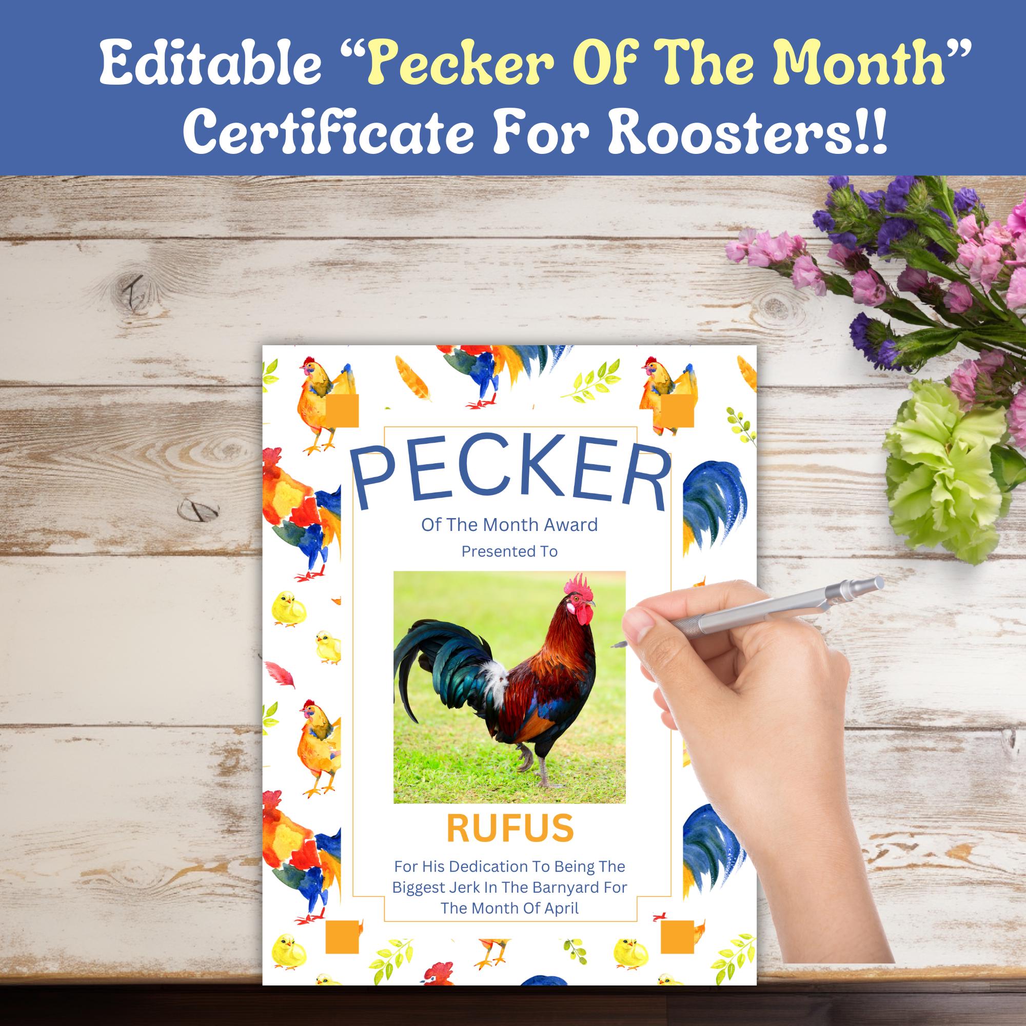 Funny Rooster Award, Editable Certificate for Grumpy Flock, Printable ...