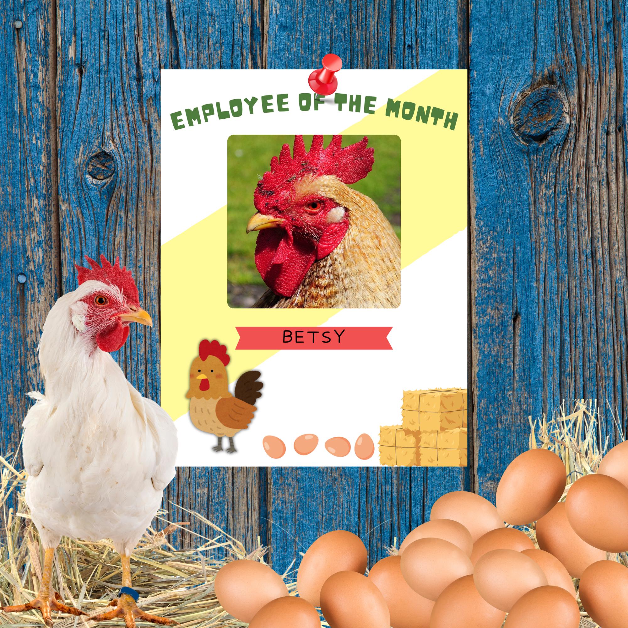 Editable Employee of the Month Certificate for Chickens, Canva Template ...