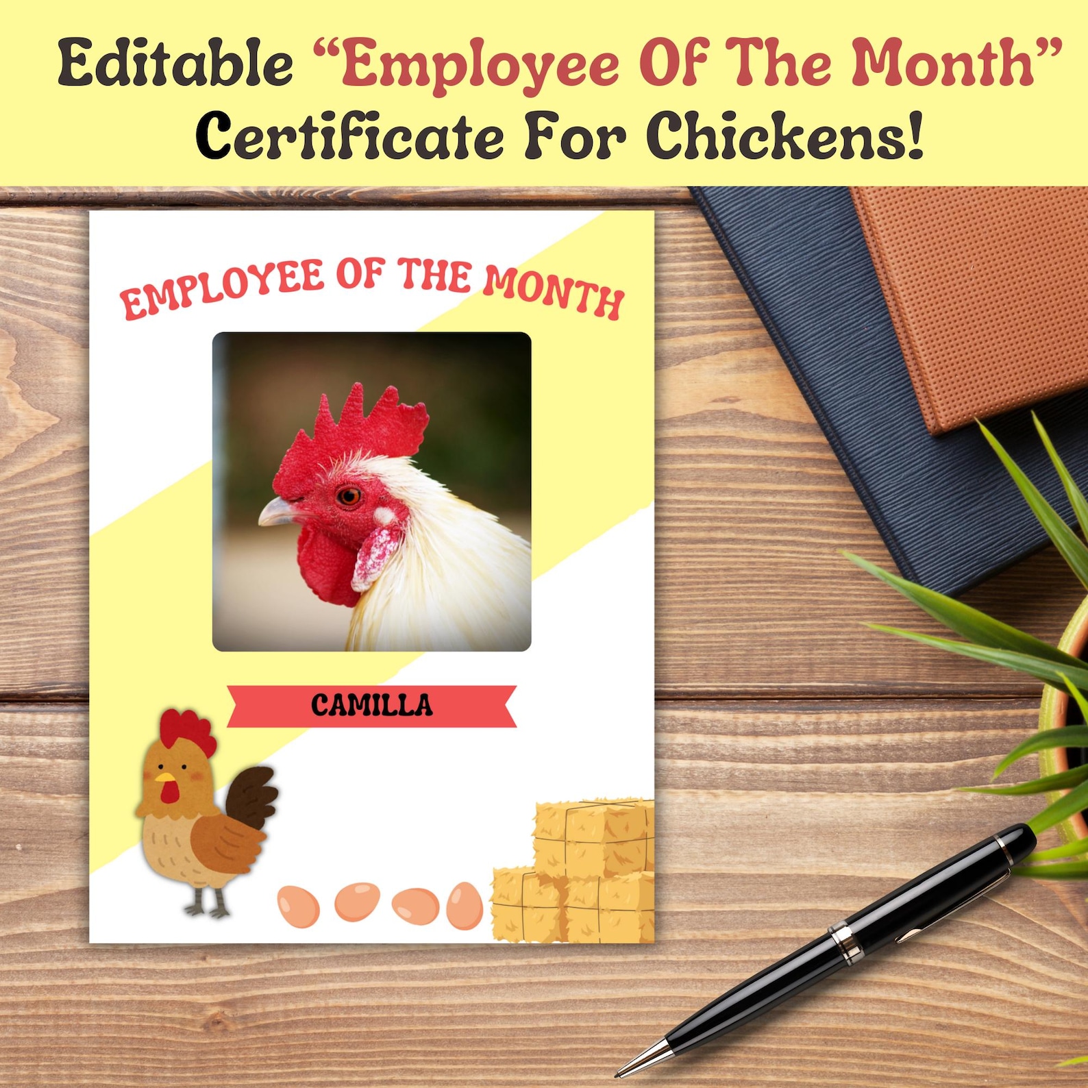 Editable Employee of the Month Certificate for Chickens, Canva Template ...