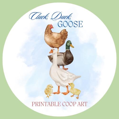 CluckDuckGoose - Etsy