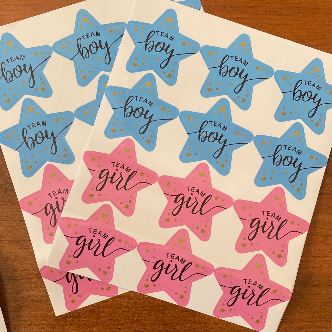 Gender Reveal Party Stickers Team Boy & Team Girl Pink Blue Star ...