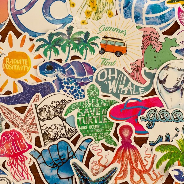 Sea Life Decals - Etsy