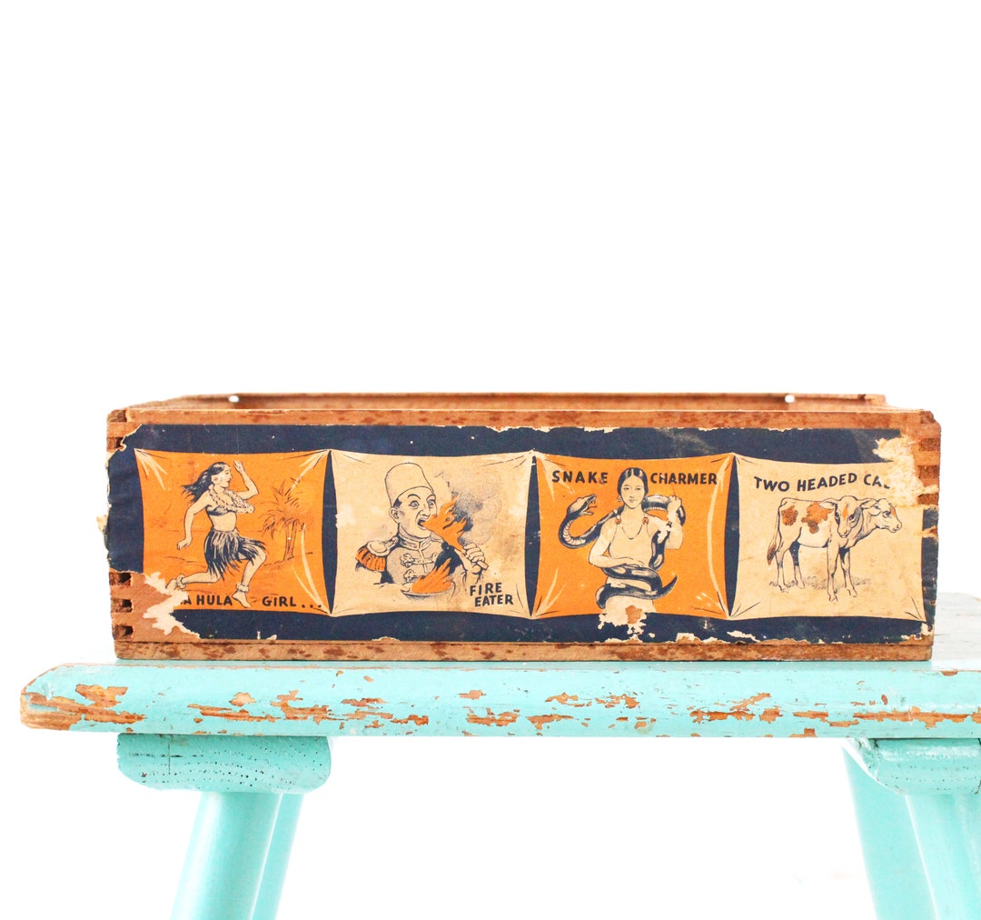 Vintage Cigar Box, Hula Girl, Snake Charmer, Fire Eater, Two Headed ...
