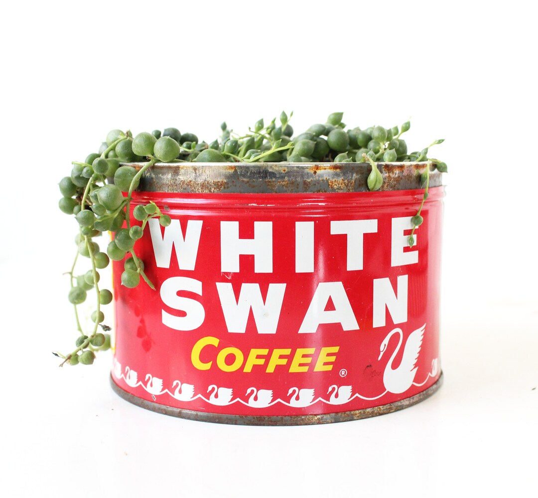 Vintage White Swan Coffee Tin, Coffee Tin Planter, Vintage Home Decor ...