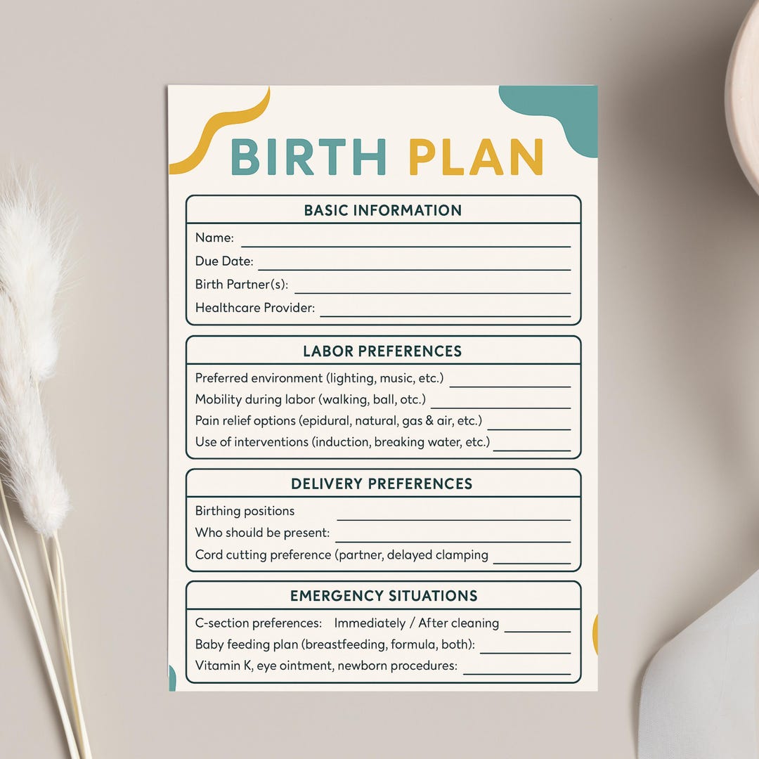 Birth Plan Template | Printable Labor & Delivery Preferences Sheet ...
