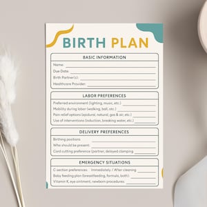 Birth Plan Template | Printable Labor & Delivery Preferences Sheet ...