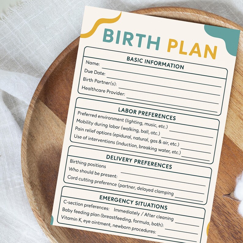 Birth Plan Template | Printable Labor & Delivery Preferences Sheet ...