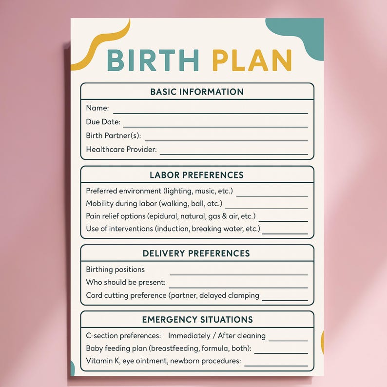 Birth Plan Template | Printable Labor & Delivery Preferences Sheet ...