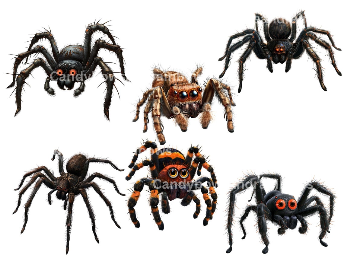 Spooky Cartoon Clipart - 30 PNG Images of Spooky Spiders - Commercial ...