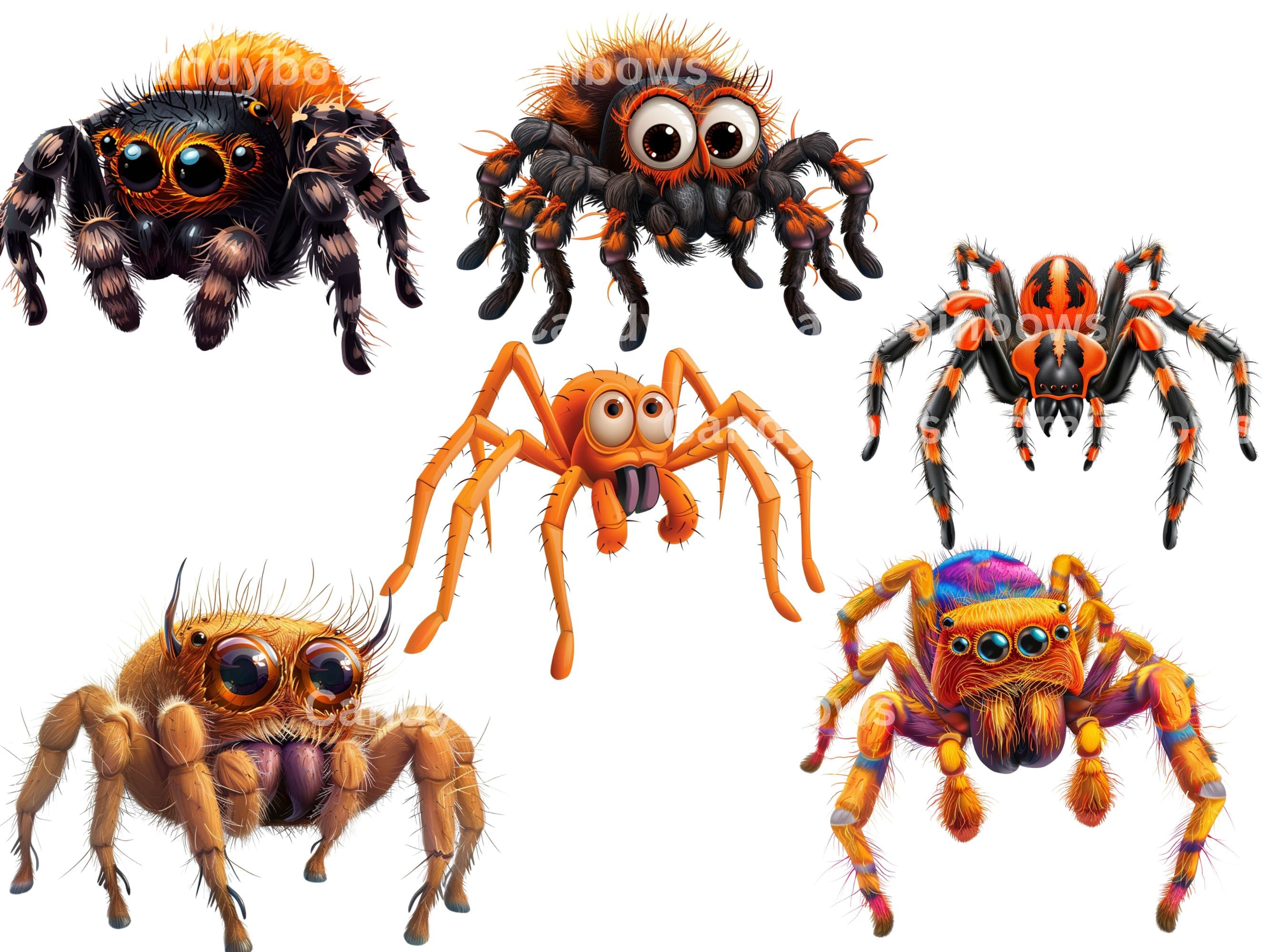 Spooky Cartoon Clipart - 30 PNG Images of Spooky Spiders - Commercial ...