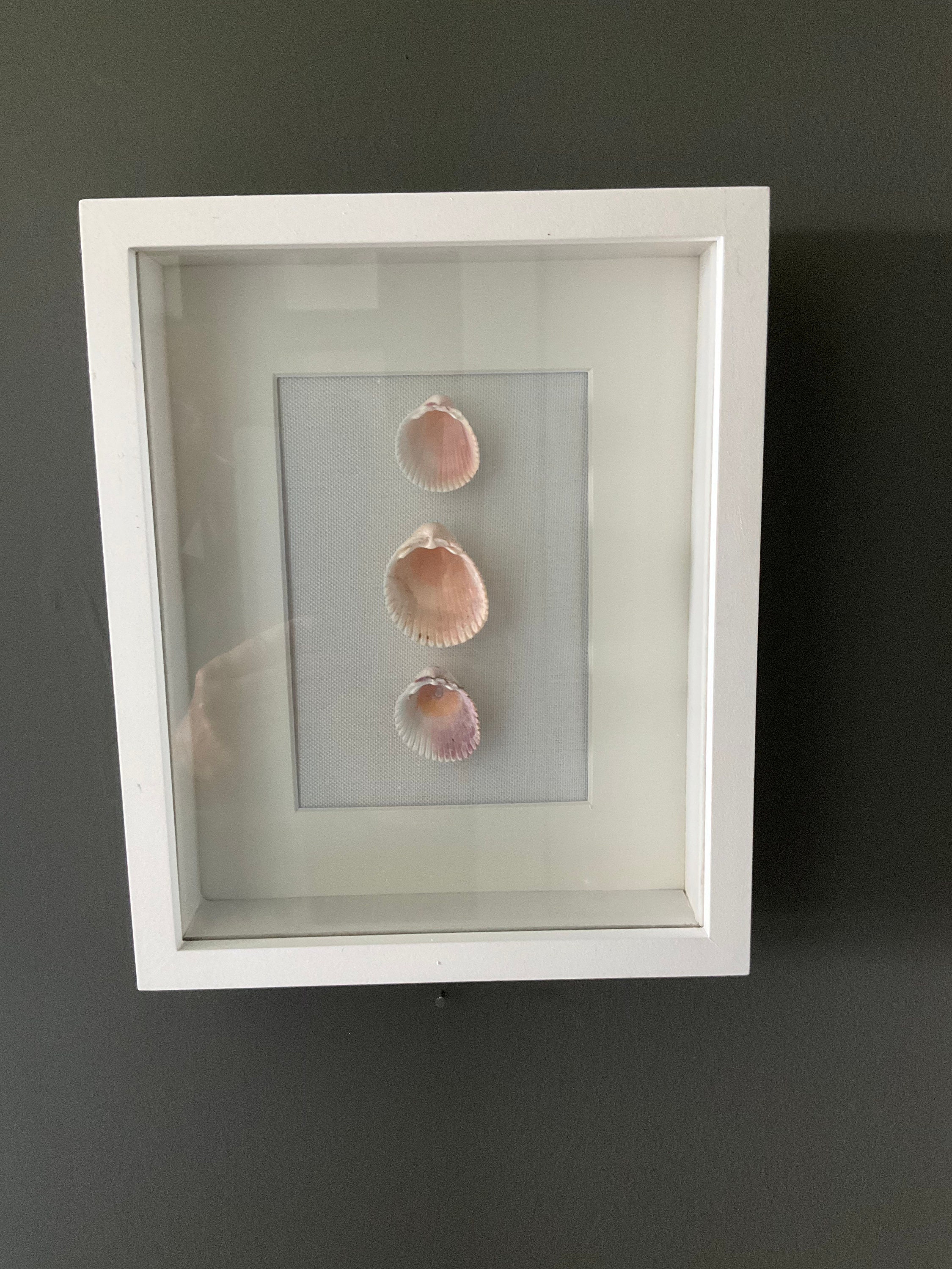 Shells Shadow Box - Etsy