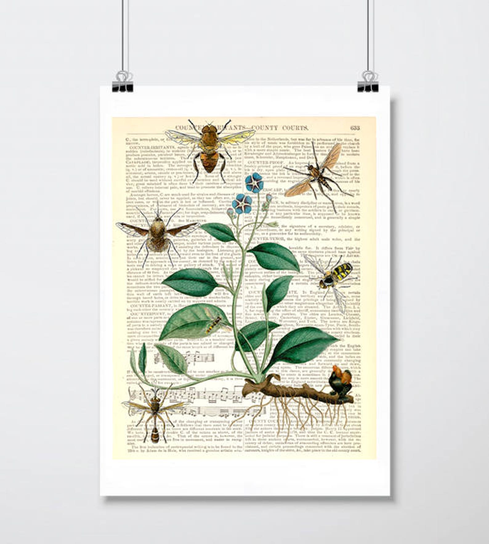 Dictionary Page Print Bees Bugs Flowers Botanical Upcycle Wall Art Book ...