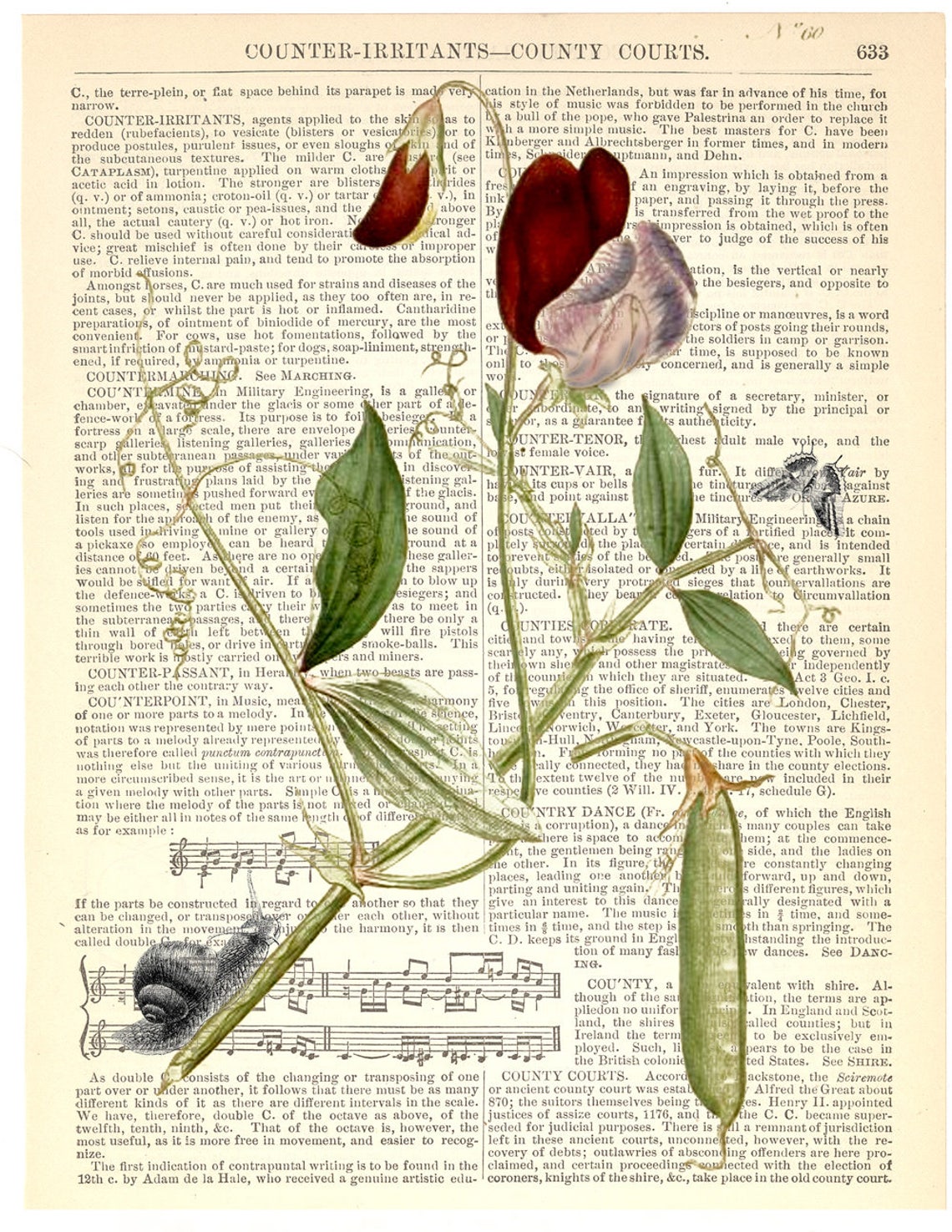 Dictionary Page Art Botanical Sweet Pea Upcycle Wall Art Book Art Print ...