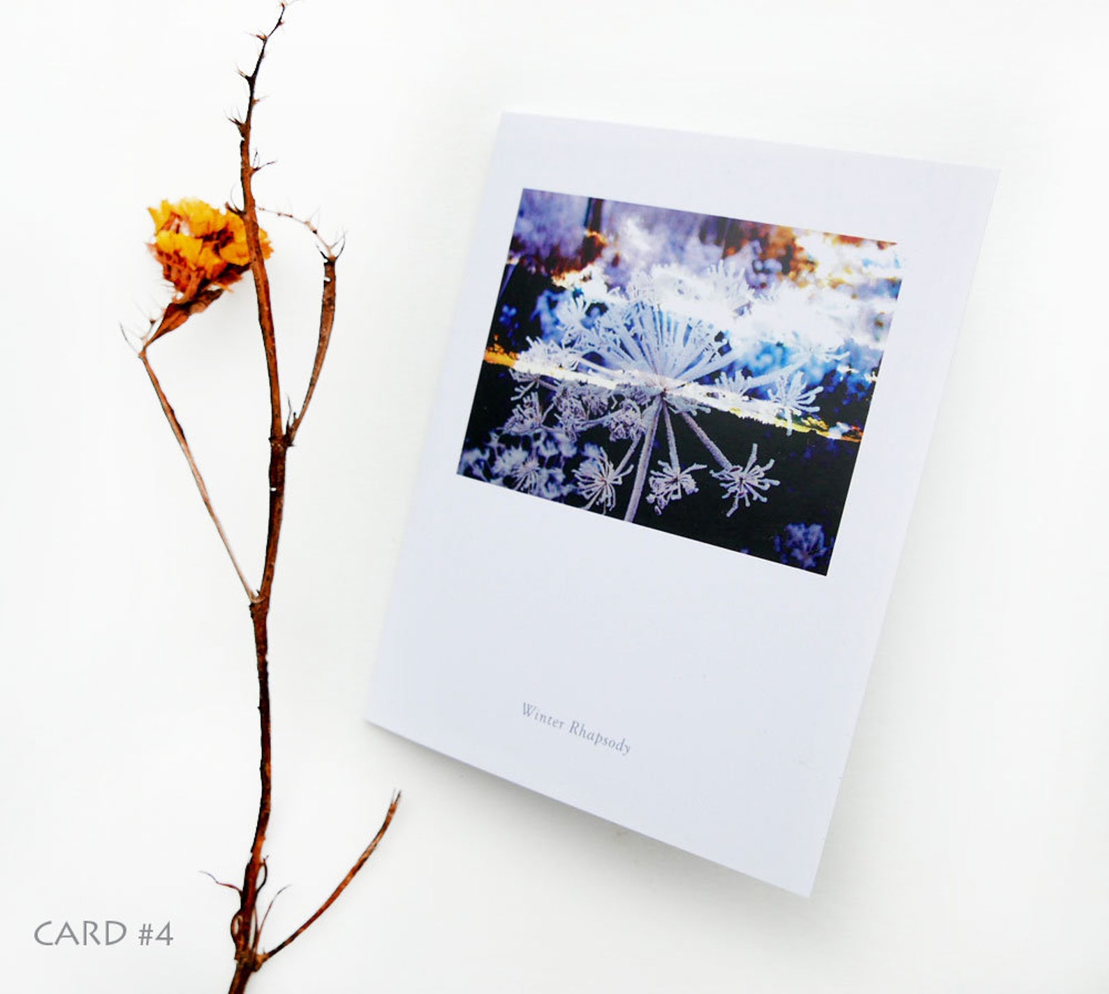 Note Cards Art Landscape Photography Pastoral Whimsical - Etsy