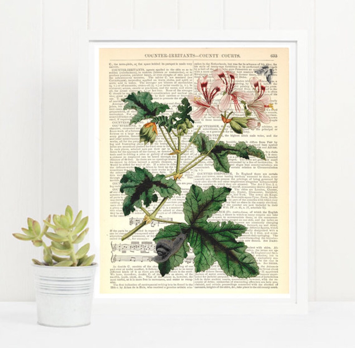 Dictionary Page Print Botanical Wall Art Collage Clammy Waxweed - Etsy