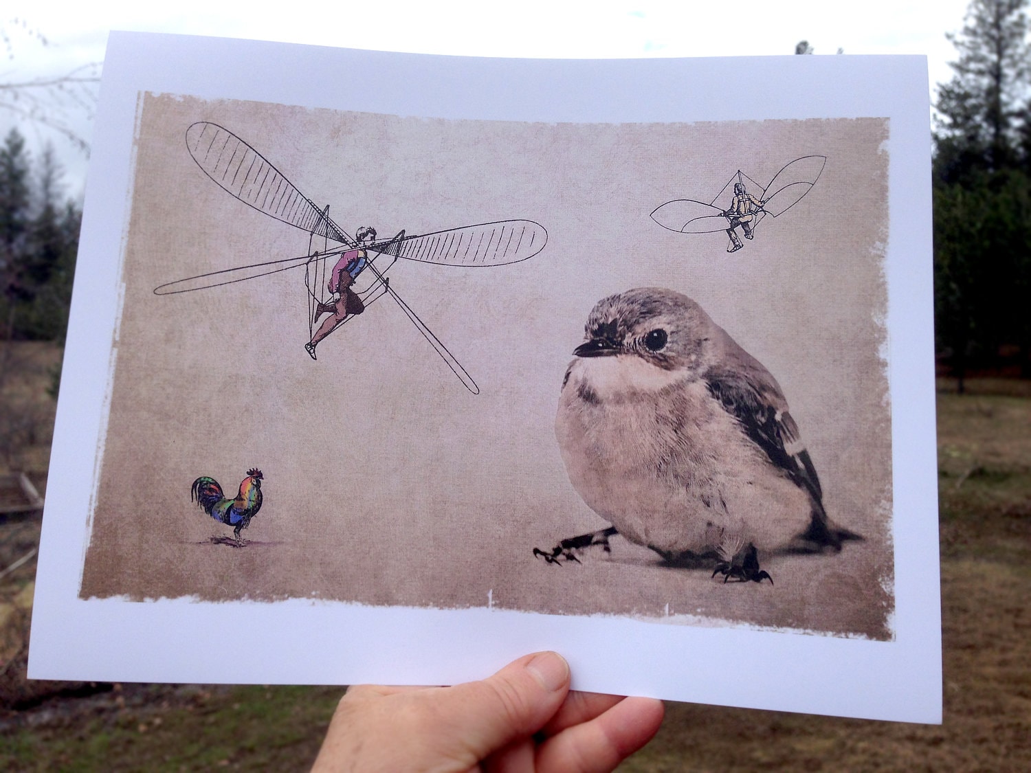 Bird Wall Art Collage Flying Machine Whimsy Surreal - Etsy