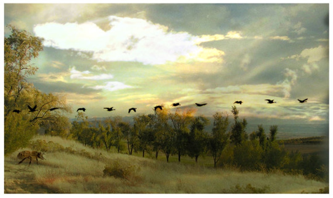 Autumn Landscape Photography Collage Original Fine Art Photograph - Etsy