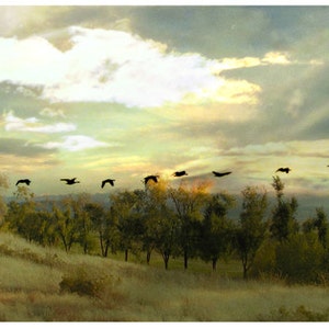 Autumn Landscape Photography Collage Original Fine Art Photograph - Etsy