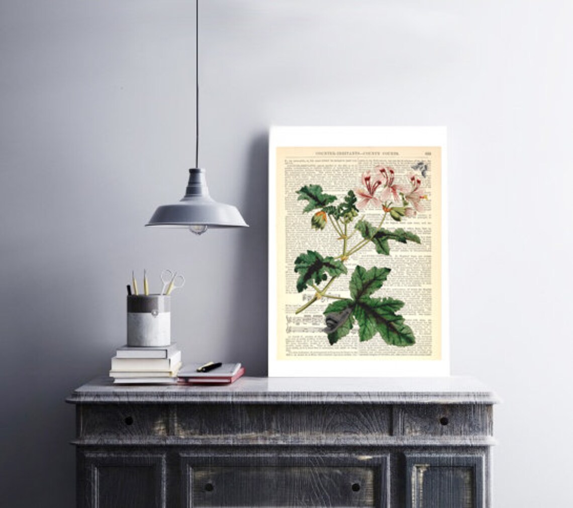Dictionary Page Print Botanical Wall Art Collage Clammy Waxweed - Etsy
