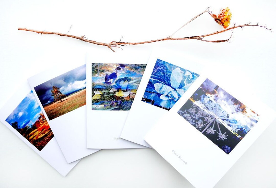 Note Cards Art Landscape Photography Pastoral Whimsical - Etsy