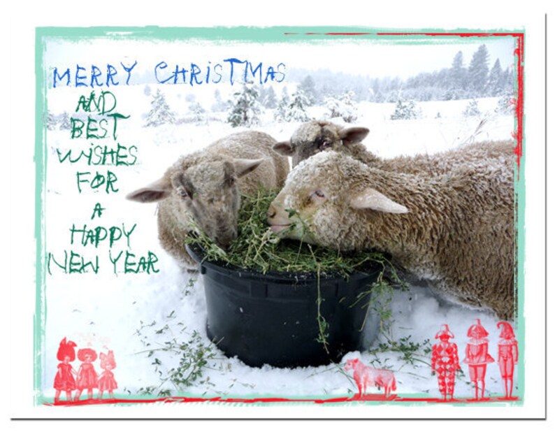 Christmas Cards Set Holiday Cards Country Pastoral Lamb Farm Life - Etsy