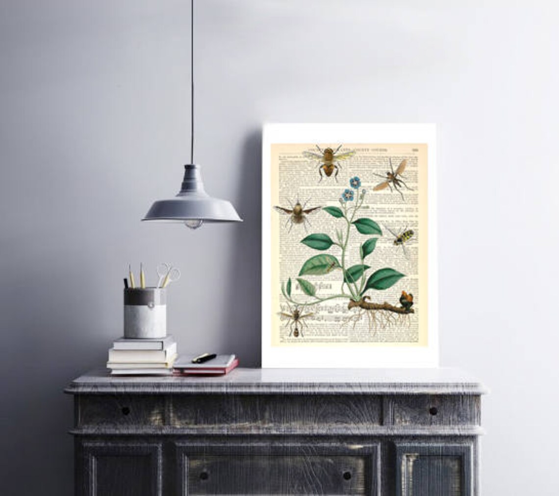 Dictionary Page Print Bees Bugs Flowers Botanical Upcycle Wall Art Book ...